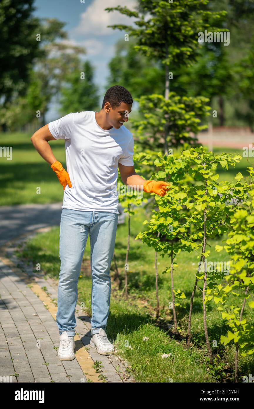Guy touching foliage of tree seedling Stock Photo - Alamy