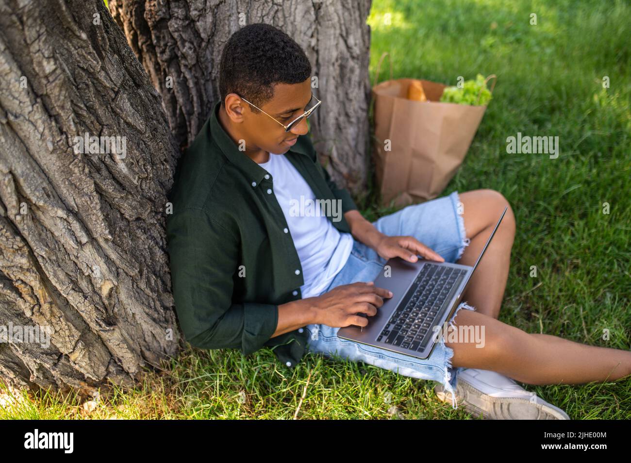 Man looking at laptop sitting under tree Stock Photo - Alamy