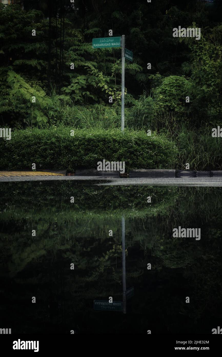 A vertical shot of a lake reflecting the green sign in a park ...