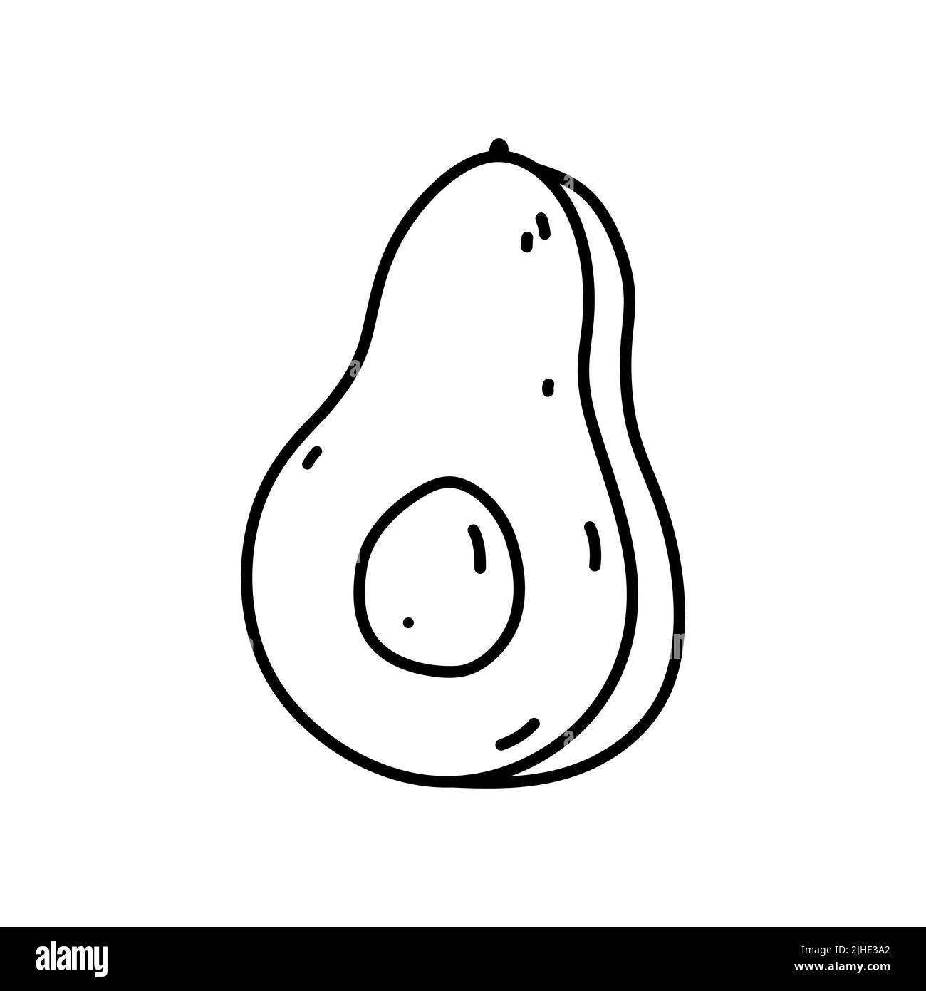 Half an avocado isolated on white background. Vector hand-drawn ...