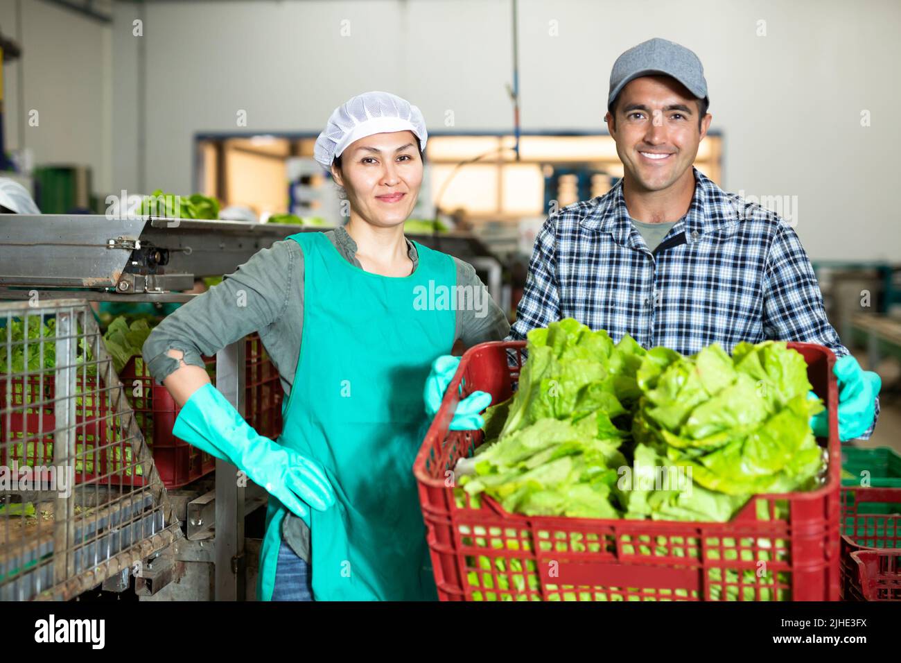 Smiling workers standing in vegetable sorting factory with box of ...