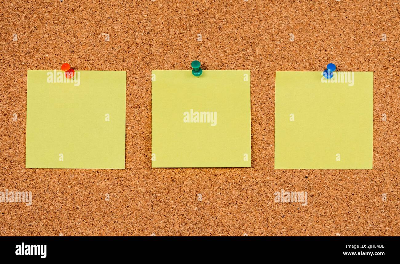 Three empty yellow sticky notes on a cork board with drawing pins, copy ...