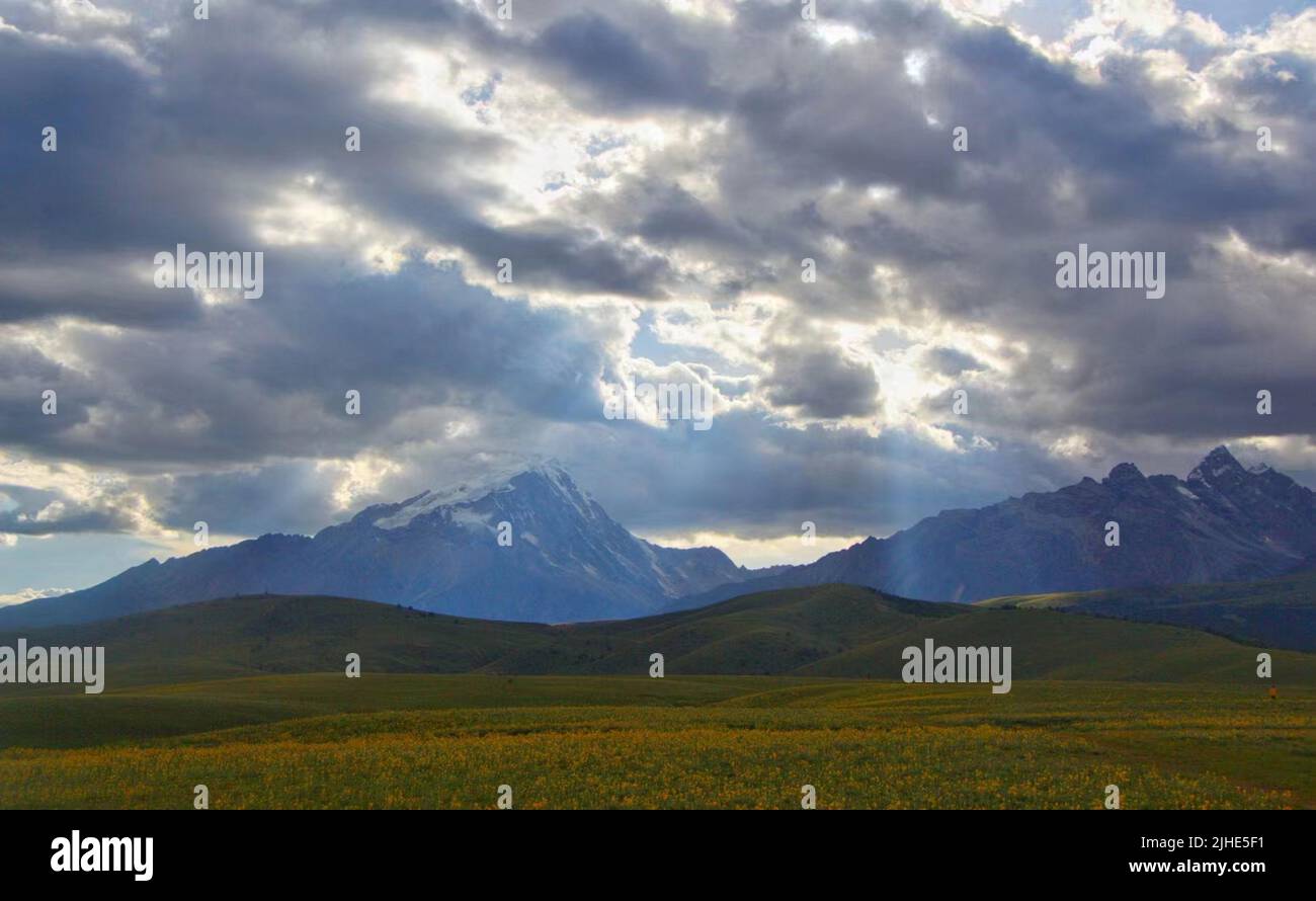 A landscape scene of green meadows and Colorado San Juan Mountains ...