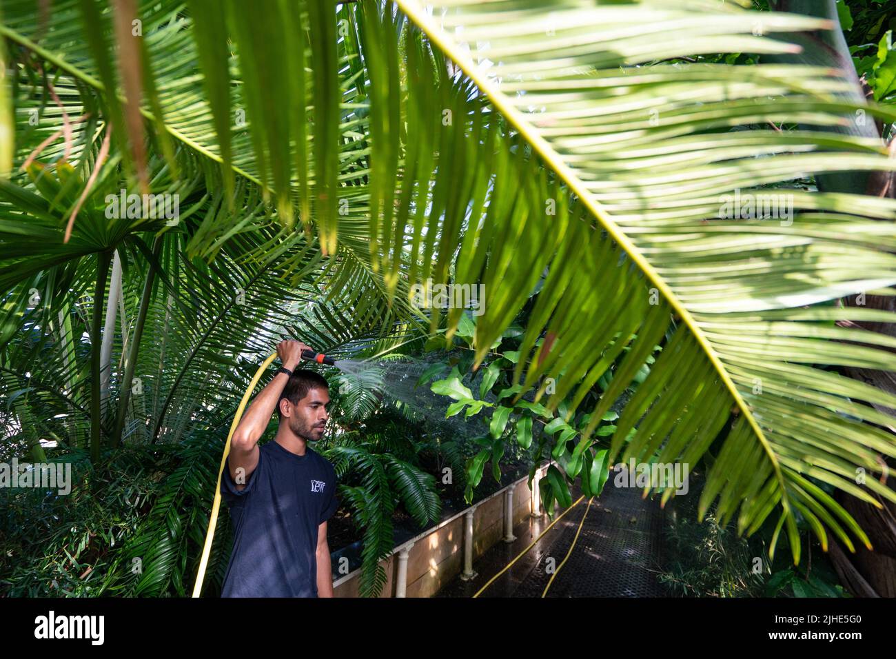 horticulture student Muhammed Ismail Moosa waters the plants in the ...