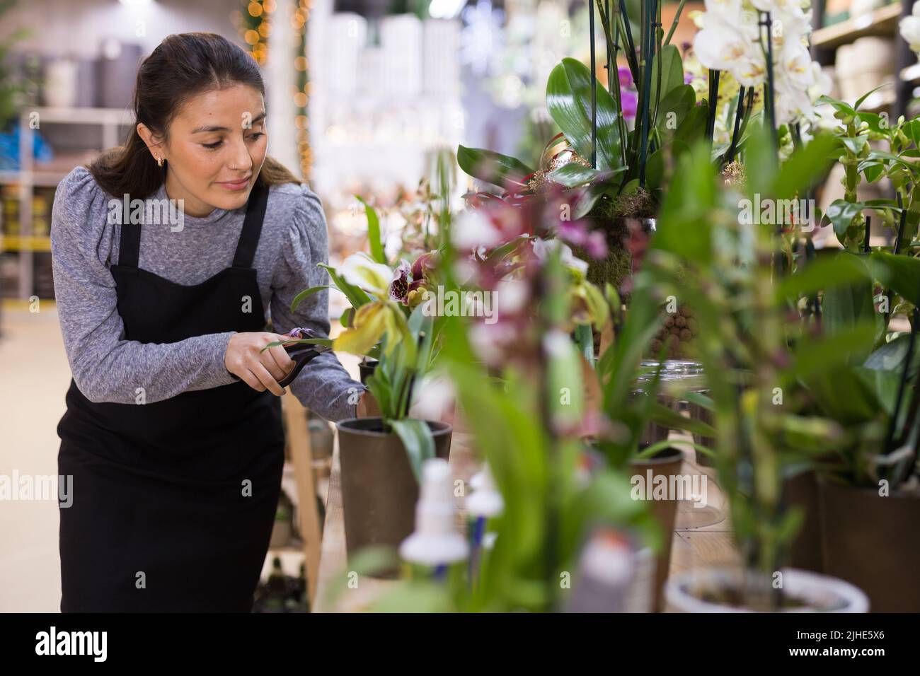 Female florist in uniform hi-res stock photography and images - Alamy