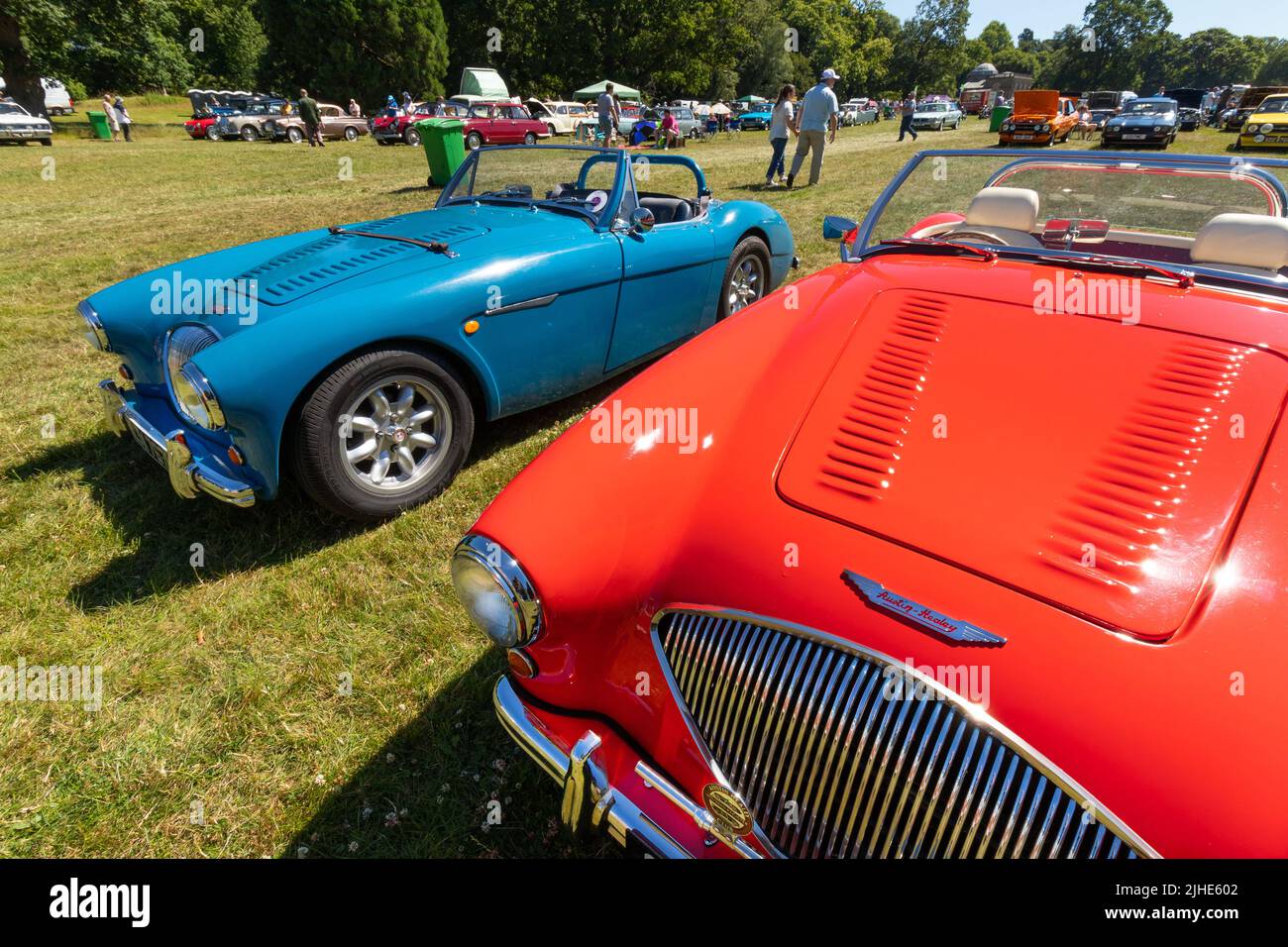 vintage classic red and blue Austin Healey sports cars Haldane MkII ...