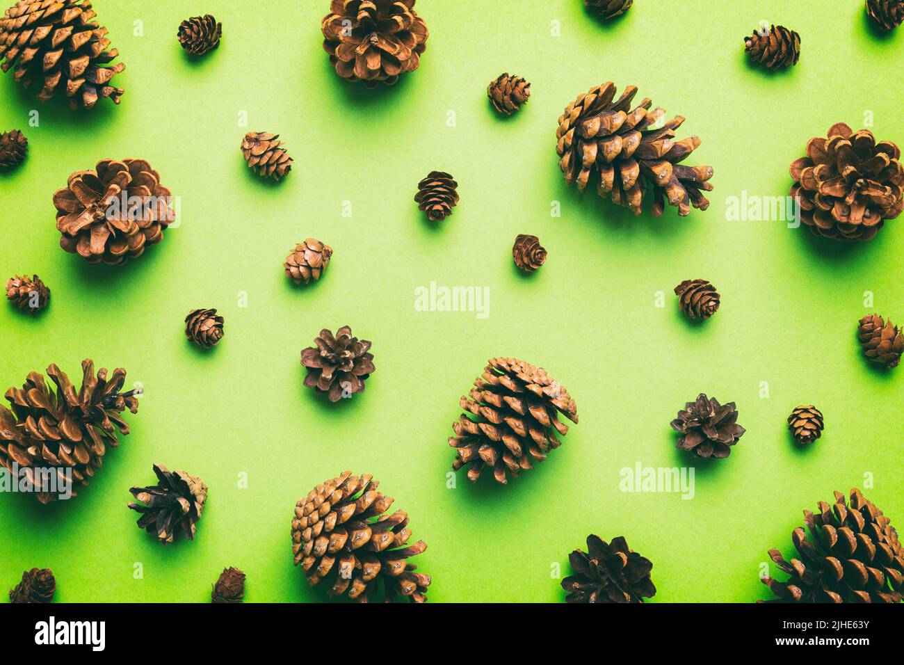 pine cones on colored table. natural holiday background with pinecones ...