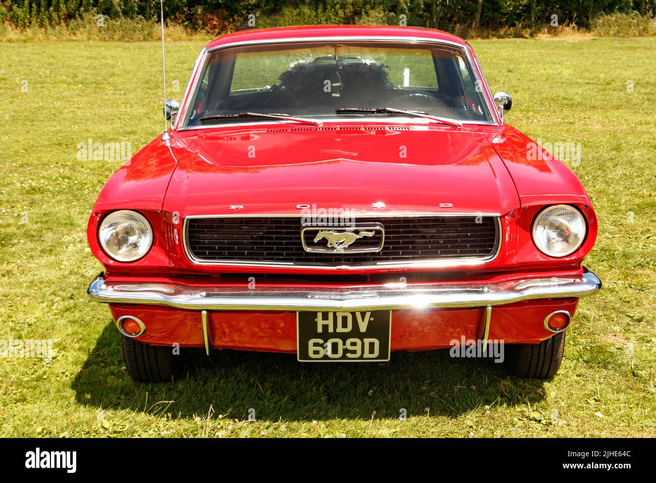 classic vintage red Ford Mustang Stock Photo - Alamy