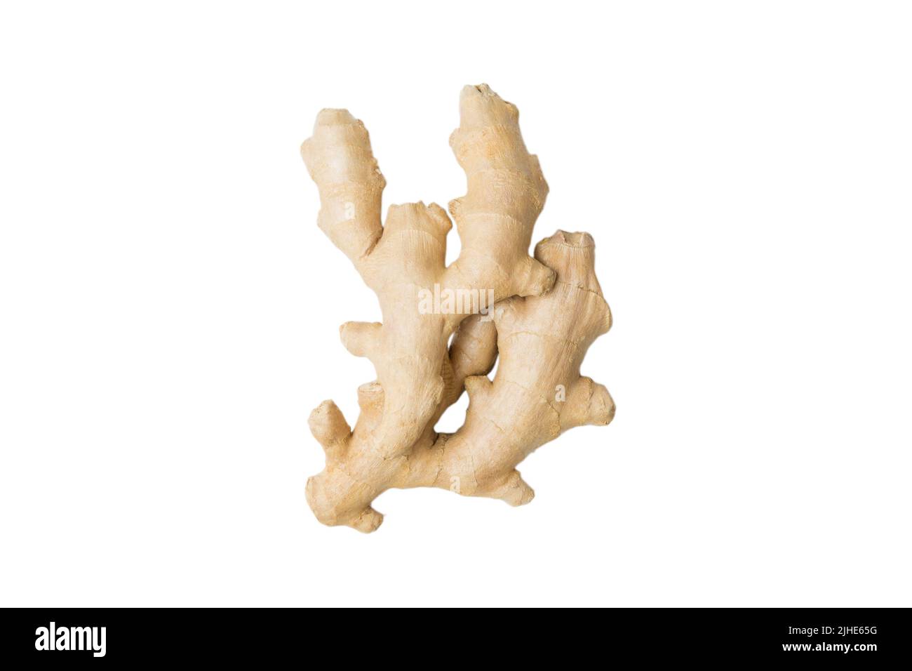 Fresh ginger isolated on white background, herb medical concept top ...
