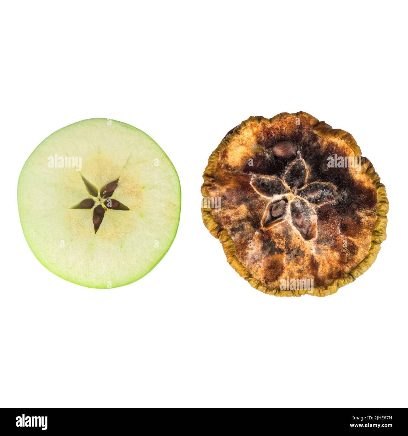 apple green slice rot step isolate on white backgroud Stock Photo - Alamy
