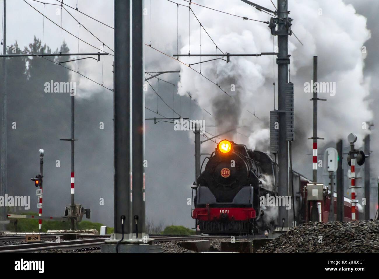 Preserved steam train, J class, 1271, McKays Crossing, Kapiti ...