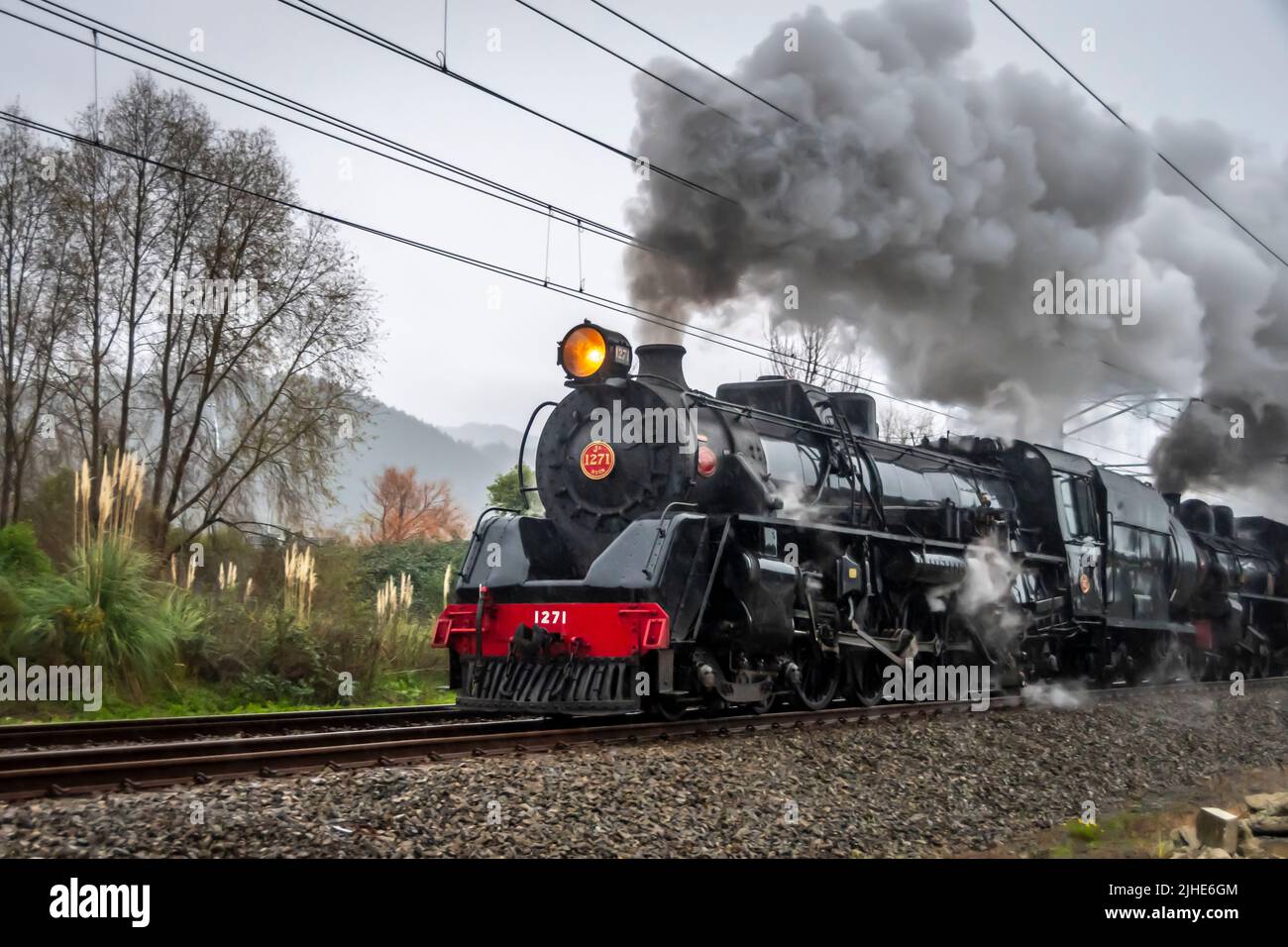 Preserved steam train, J class, 1271, McKays Crossing, Kapiti ...