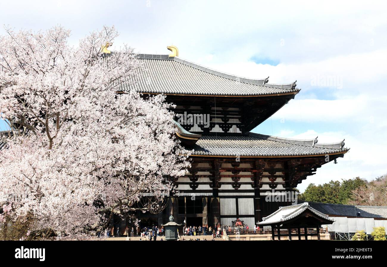 Todaiji Temple (Great Eastern Temple), one of the powerful Seven Great ...