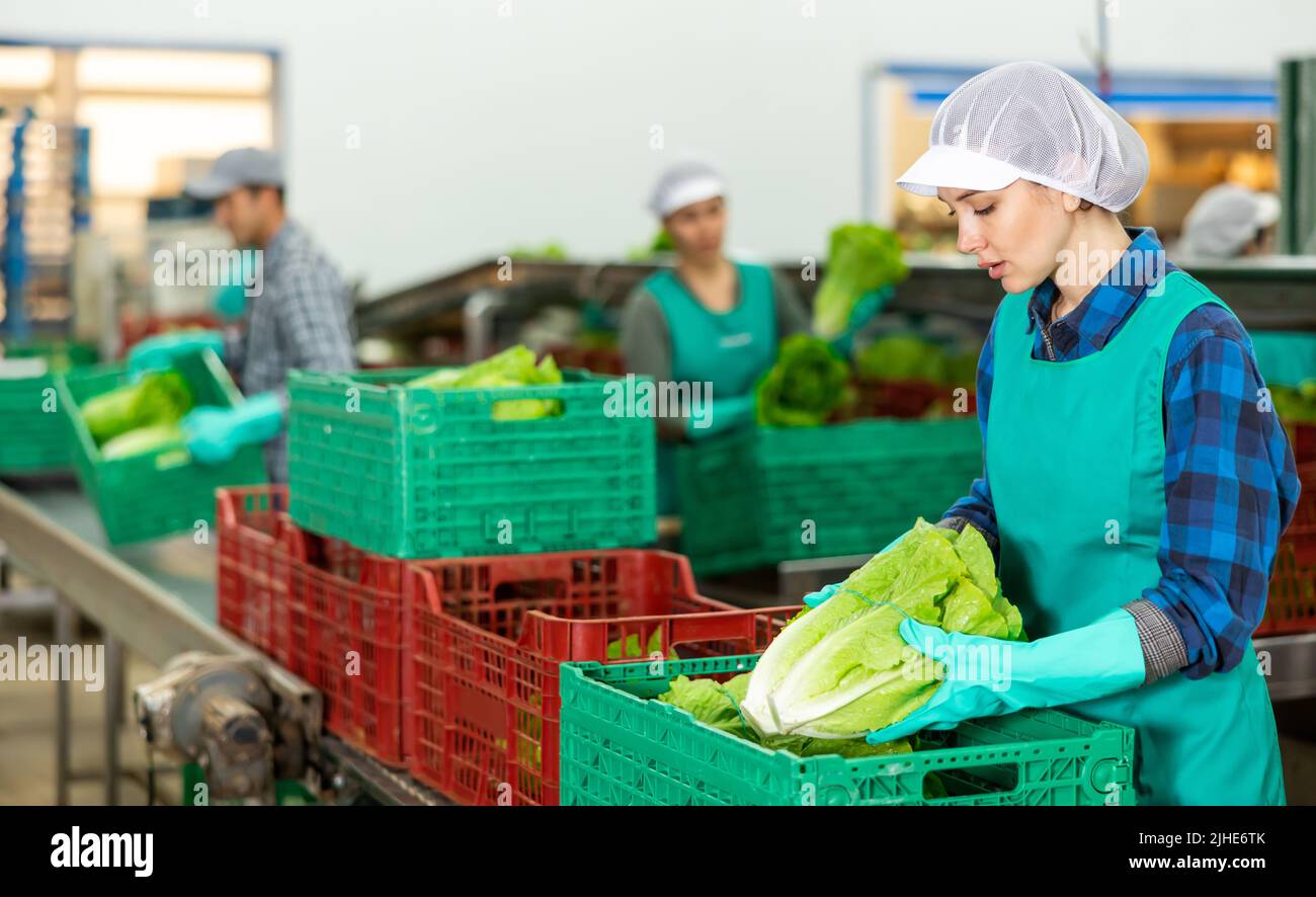 Employee engagement activities hi-res stock photography and images - Alamy