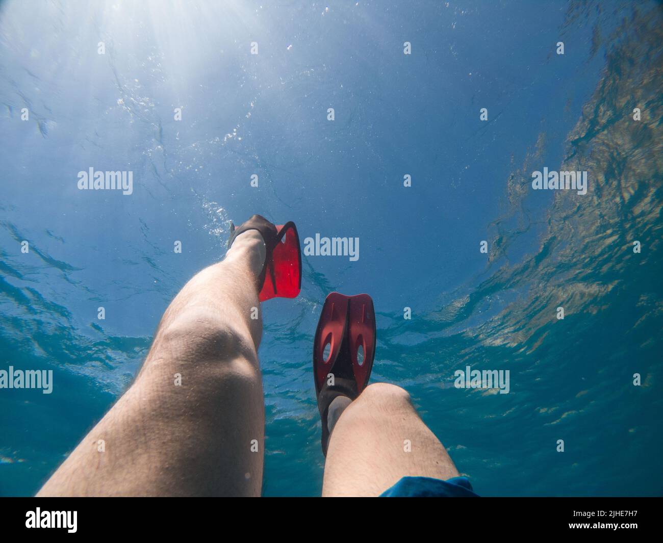 men legs in flippers underwater Stock Photo - Alamy