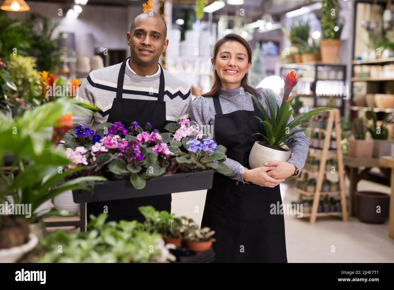 Hands geranium hi-res stock photography and images - Alamy