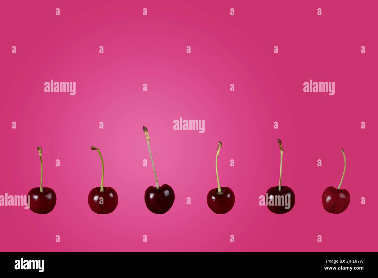 row line of ripe summer cherries cherry fruit on a colourful colorful ...