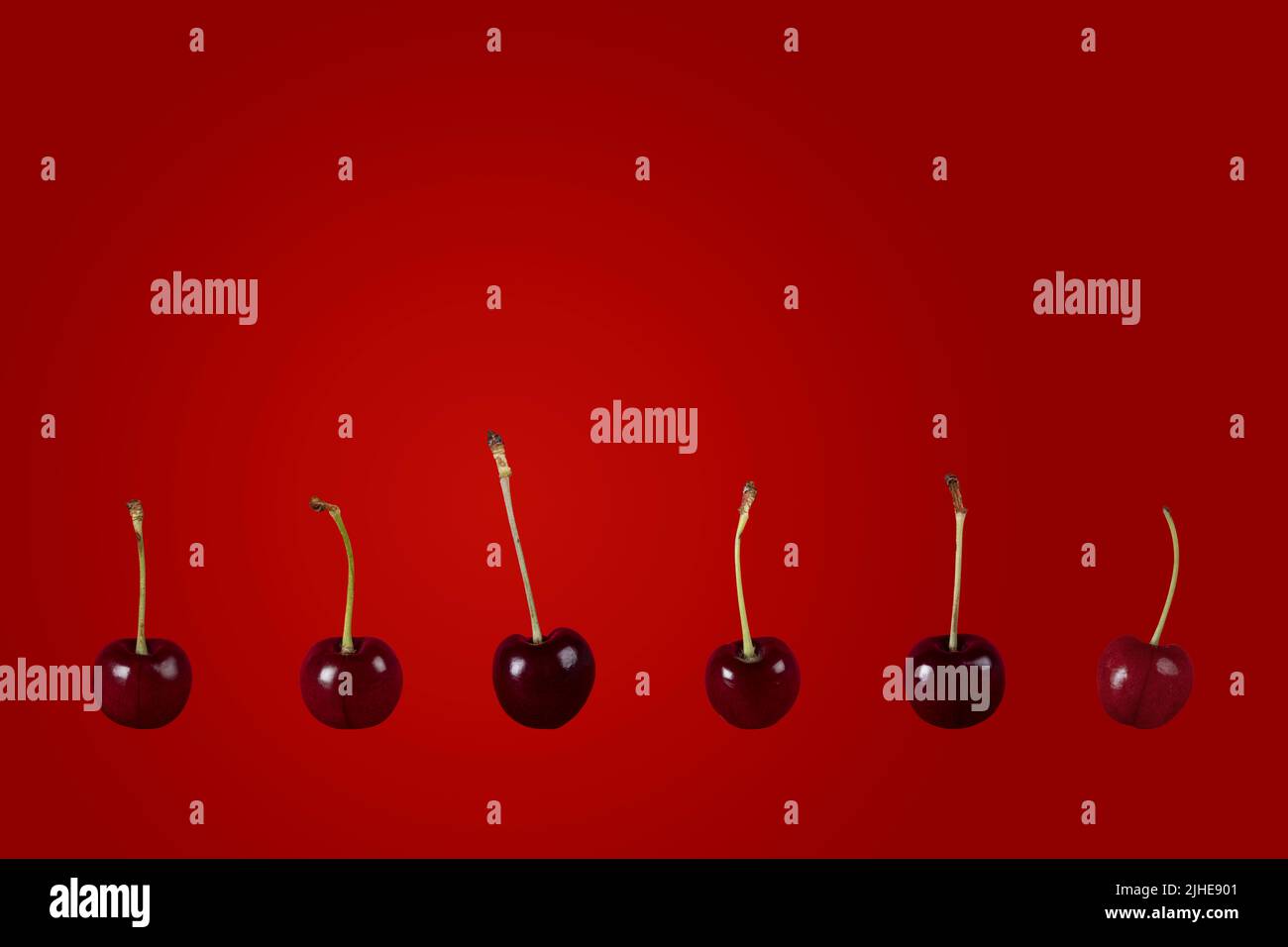 row line of ripe summer cherries cherry fruit on a colourful colorful ...