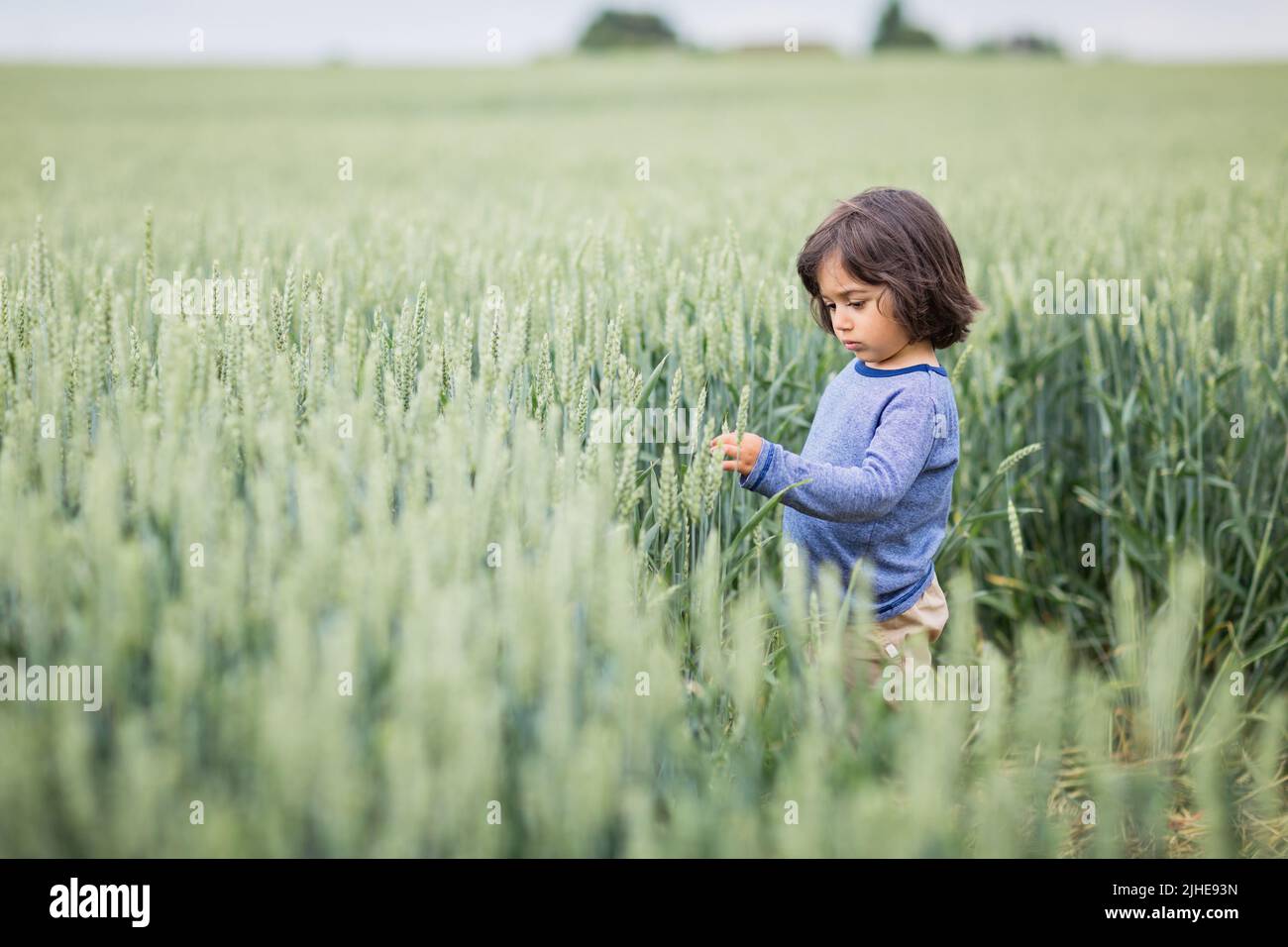 Handsome toddler hi-res stock photography and images - Alamy
