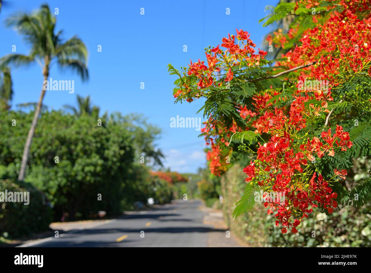 The Puako tide pools (State Park) at the lava beach of Holoholokai ...