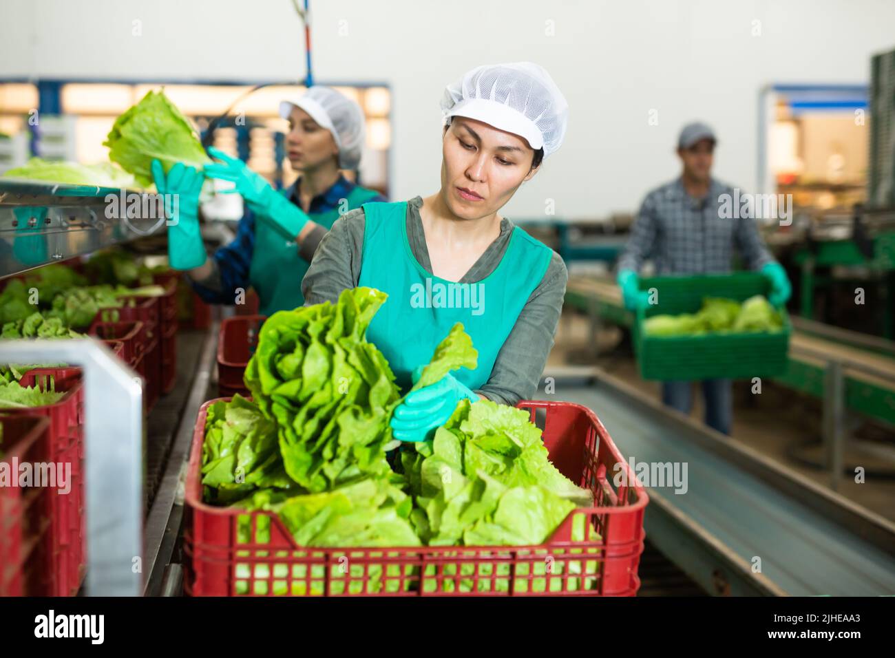 Technology agriculture sort hi-res stock photography and images - Alamy