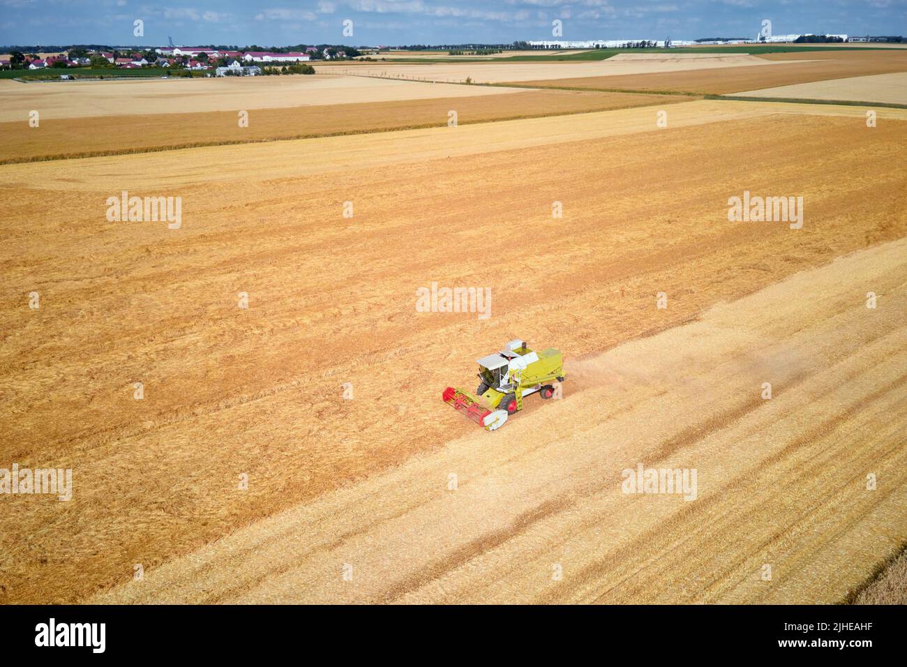 Combine harvester collecting golden wheat field, Harvesting machine ...