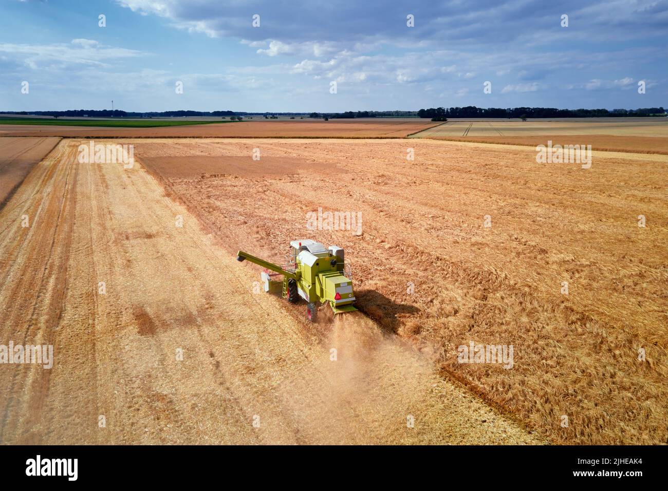 Combine harvester collecting golden wheat field, Harvesting machine ...