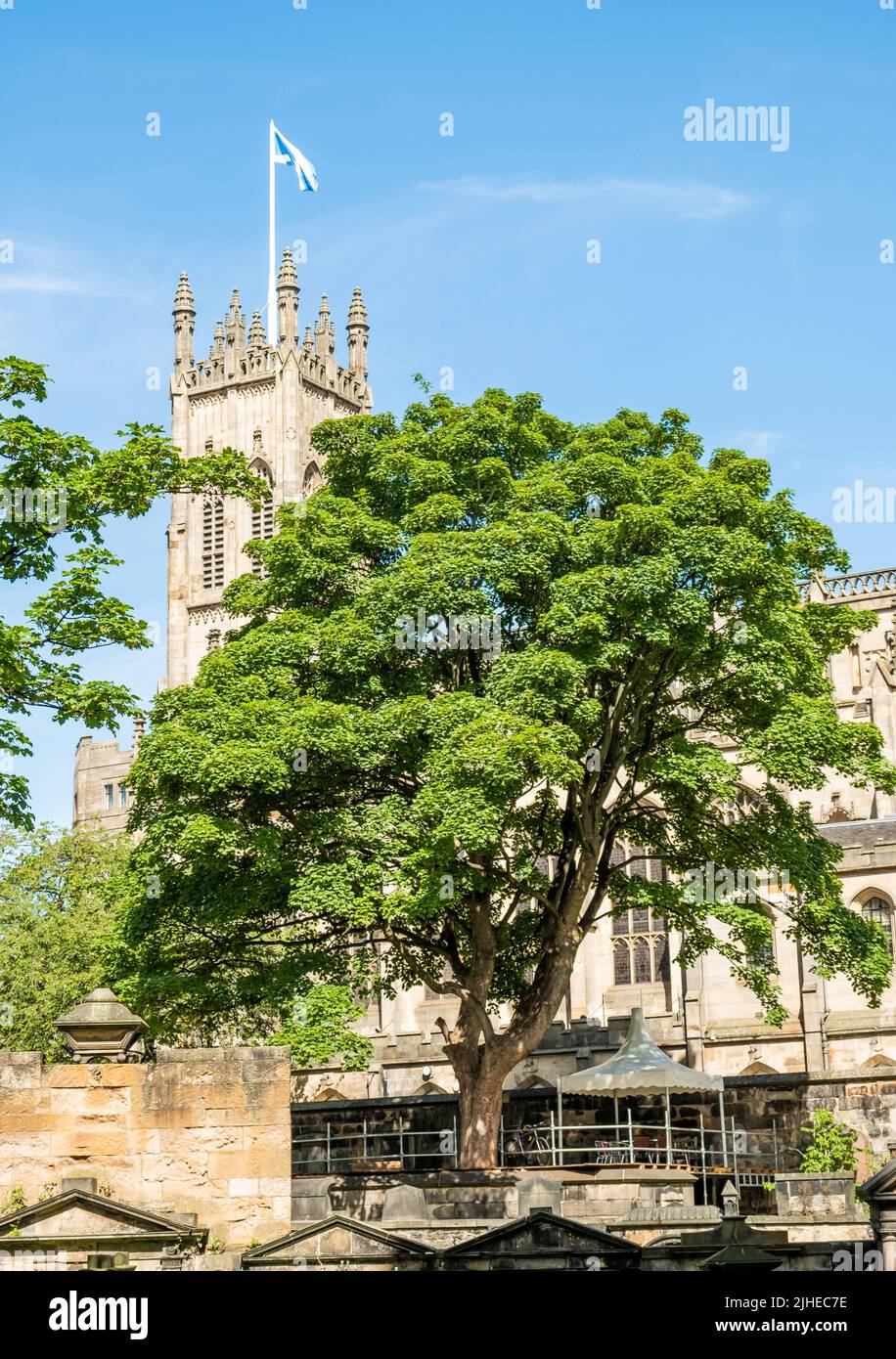 Ancient and historic church spire behind lush green trees on a bright ...