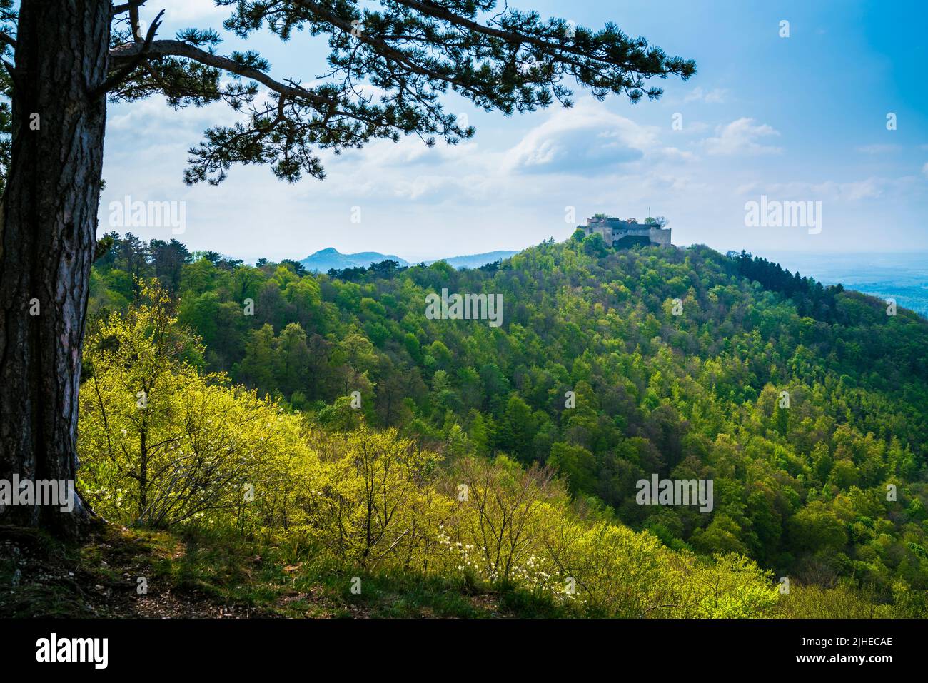 Germany, Hohenneuffen castle ruins on top of a forested mountain in ...