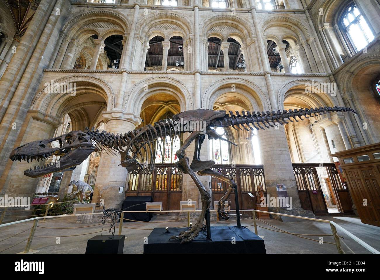 The Natural History Museum's touring exhibition, T Rex: The Killer ...