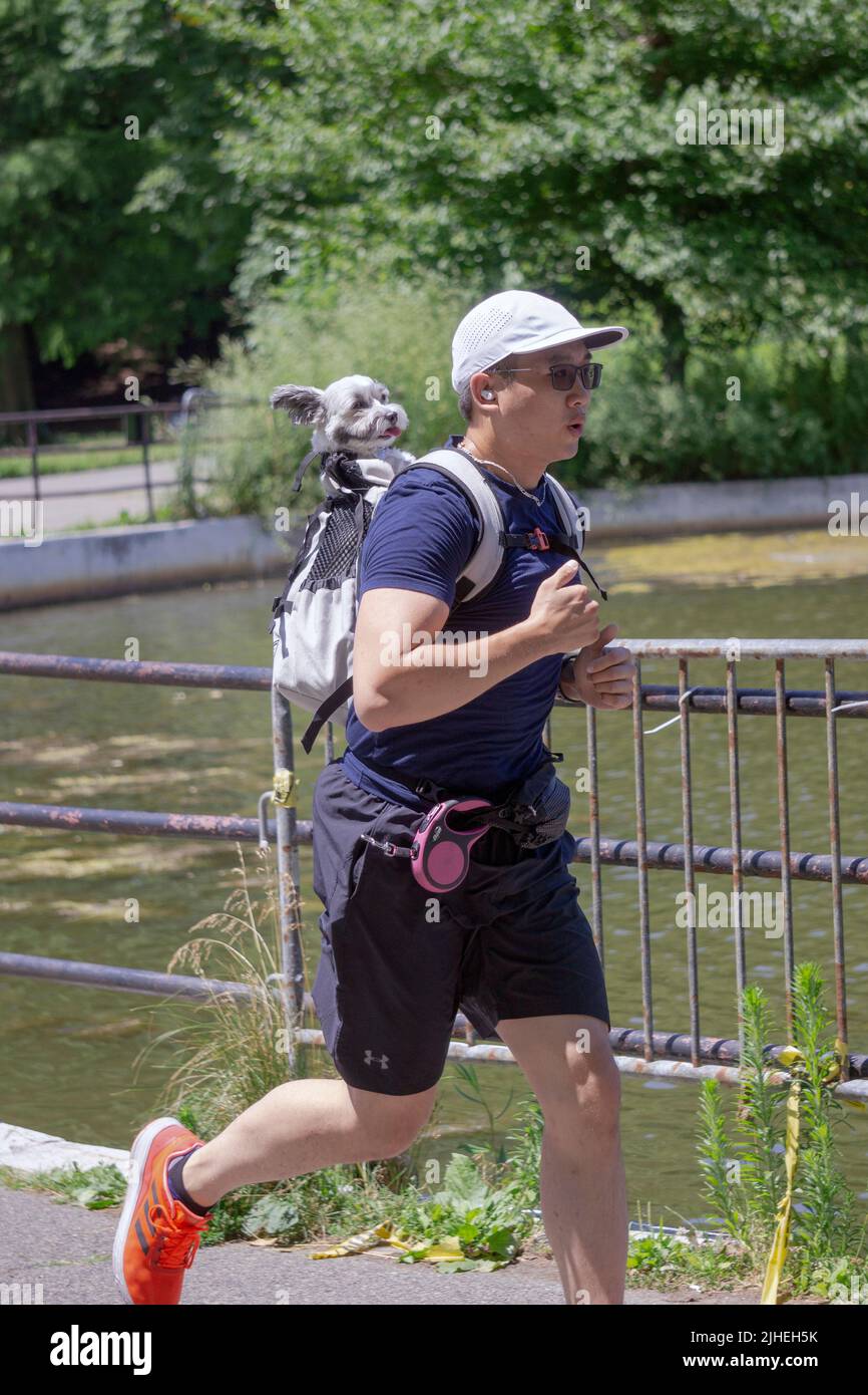 A runner and his unusual running partner do loops together in a park in ...