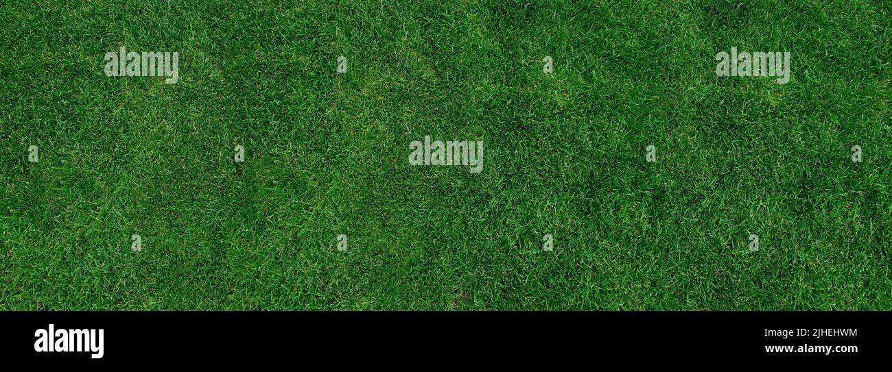 green grass banner for background Stock Photo - Alamy