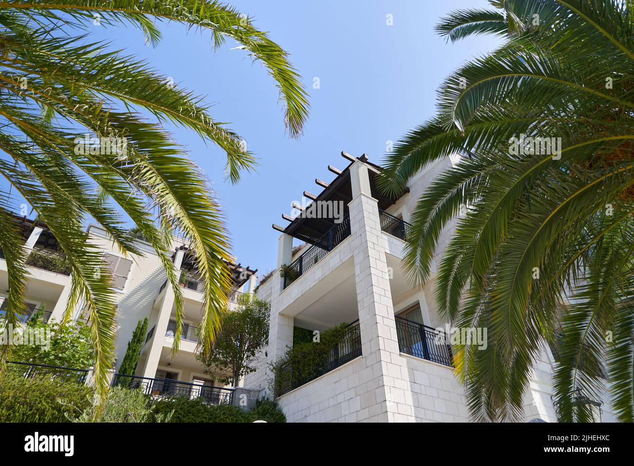 View of a luxury residential building through palm trees, housing ...