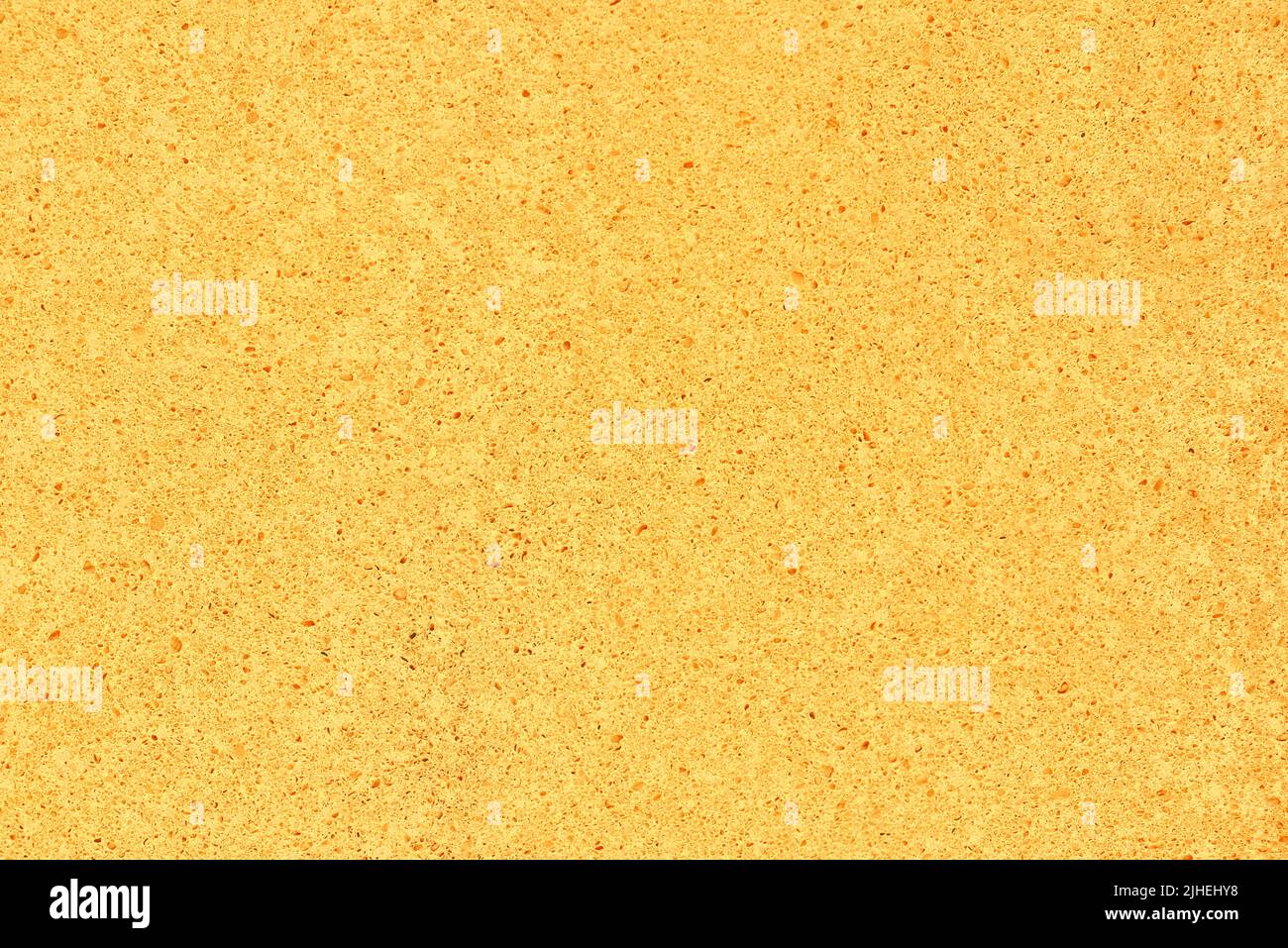 Coquina limestone shell rock hi-res stock photography and images - Alamy