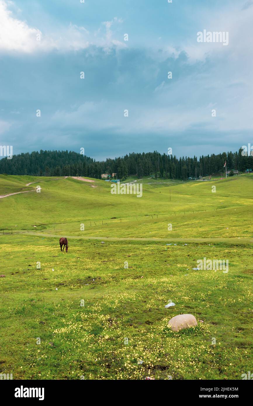 Greenery surrounded by mountains in Gulmarg, Jammu and Kashmir, India ...