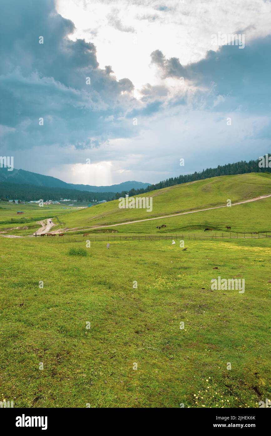 Greenery surrounded by mountains in Gulmarg, Jammu and Kashmir, India ...