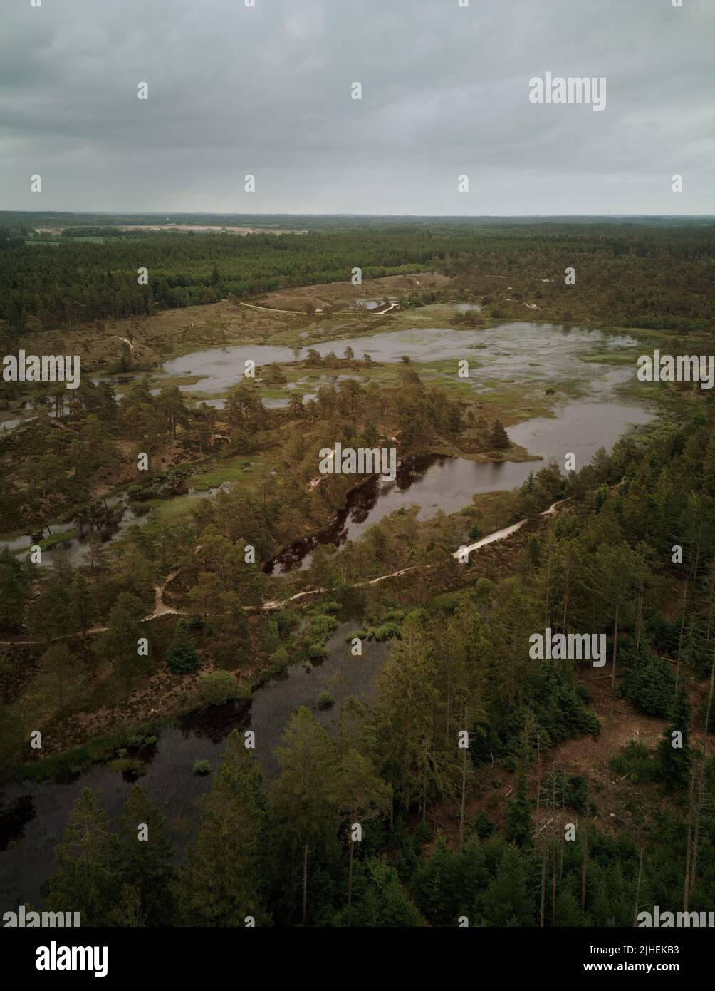 An aerial view of shallow lake surrounded by lush green forests Stock ...