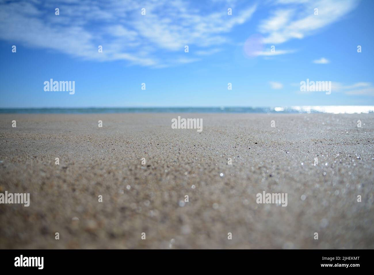Ground level point of view hi-res stock photography and images - Alamy