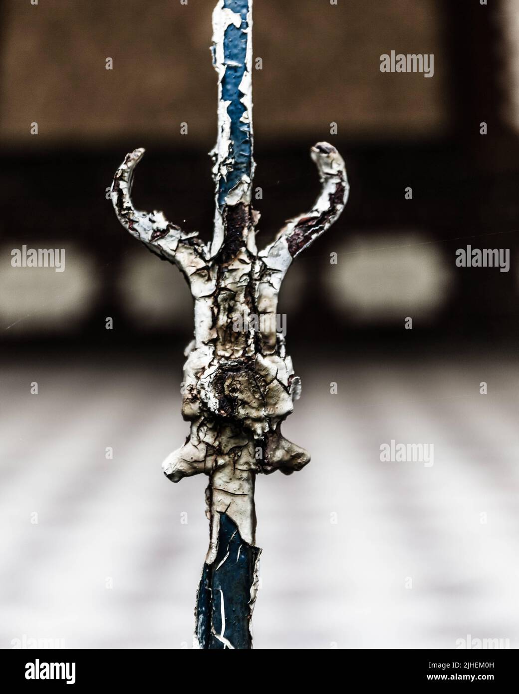 The hospital is located near Berlin. BEELITZ, GERMANY. CHILLING ...