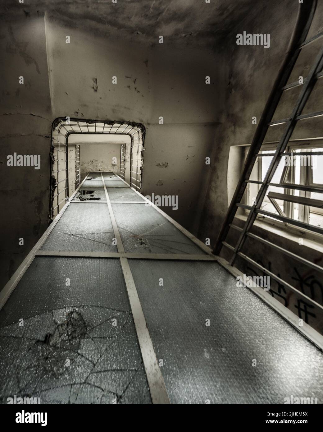 It is estimated that 8,000 children resulted from the Lebensborn ...