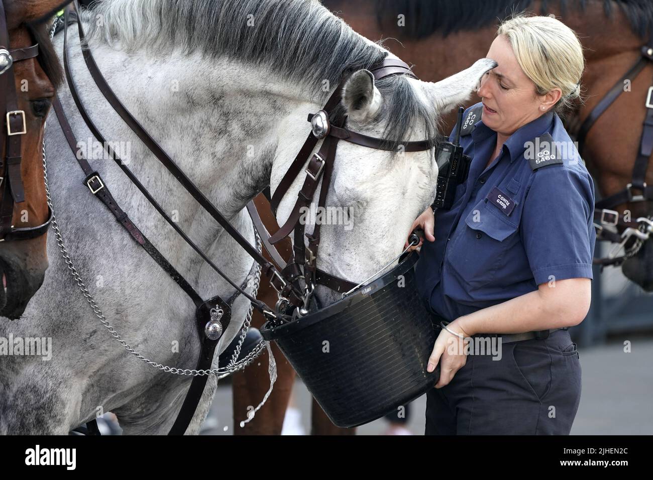 Verity summer hi-res stock photography and images - Alamy
