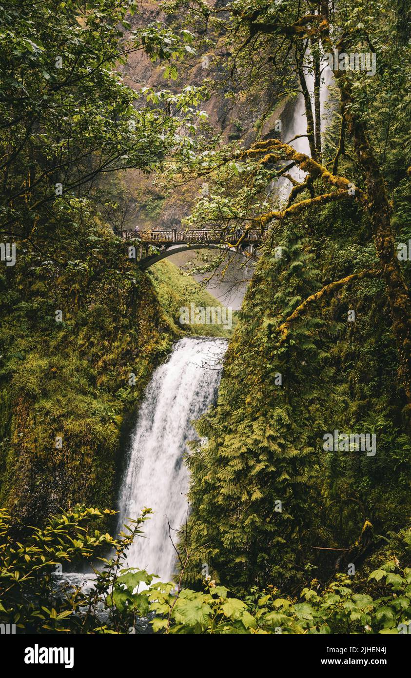 Waterfall japanese gardens portland hi-res stock photography and images ...