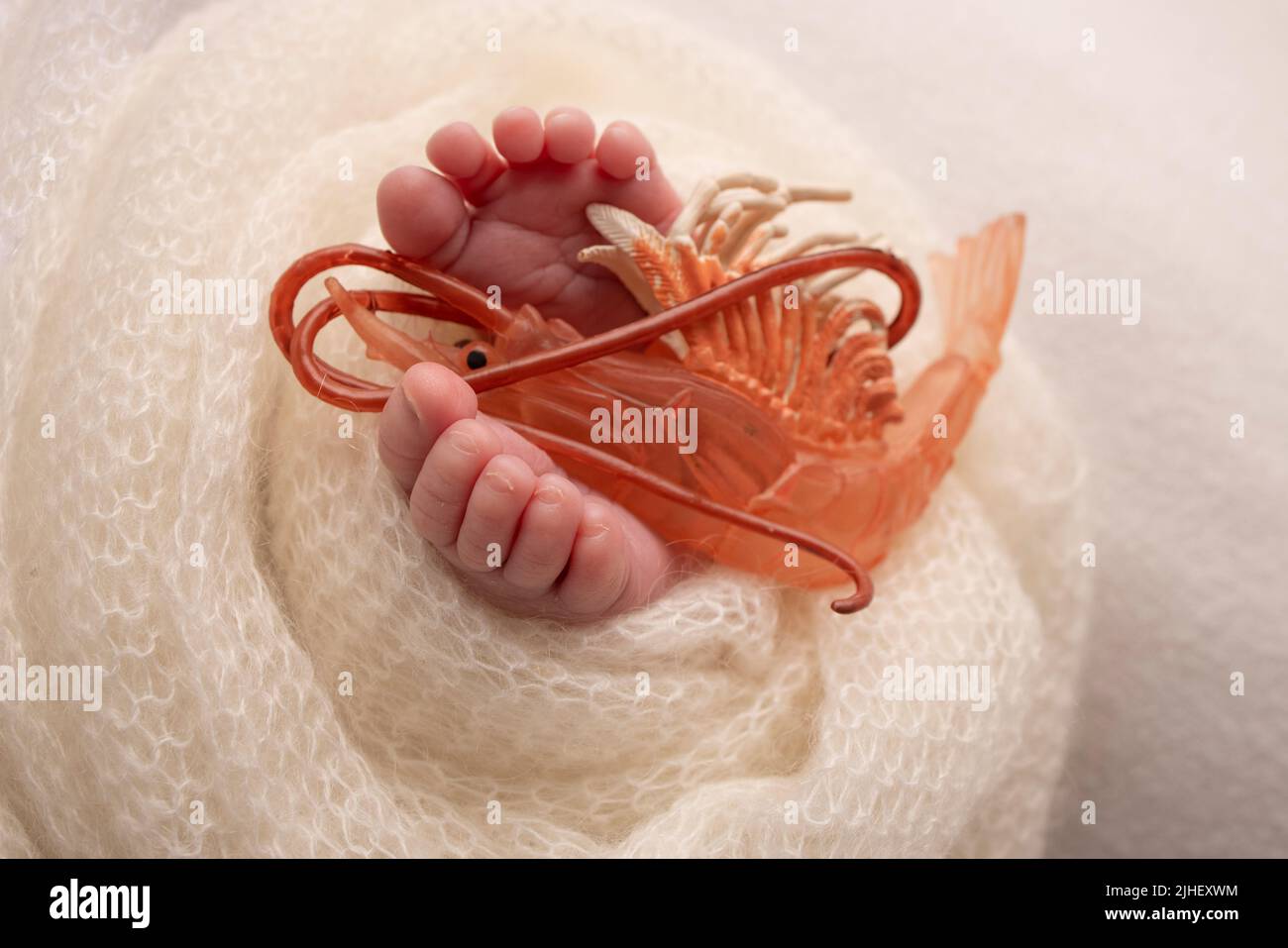 Shrimp shape hi-res stock photography and images - Alamy