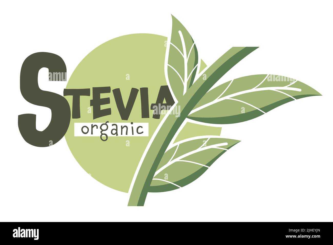 Stevia sweetener vector logo template. Green leaf of sugar Stock Vector ...