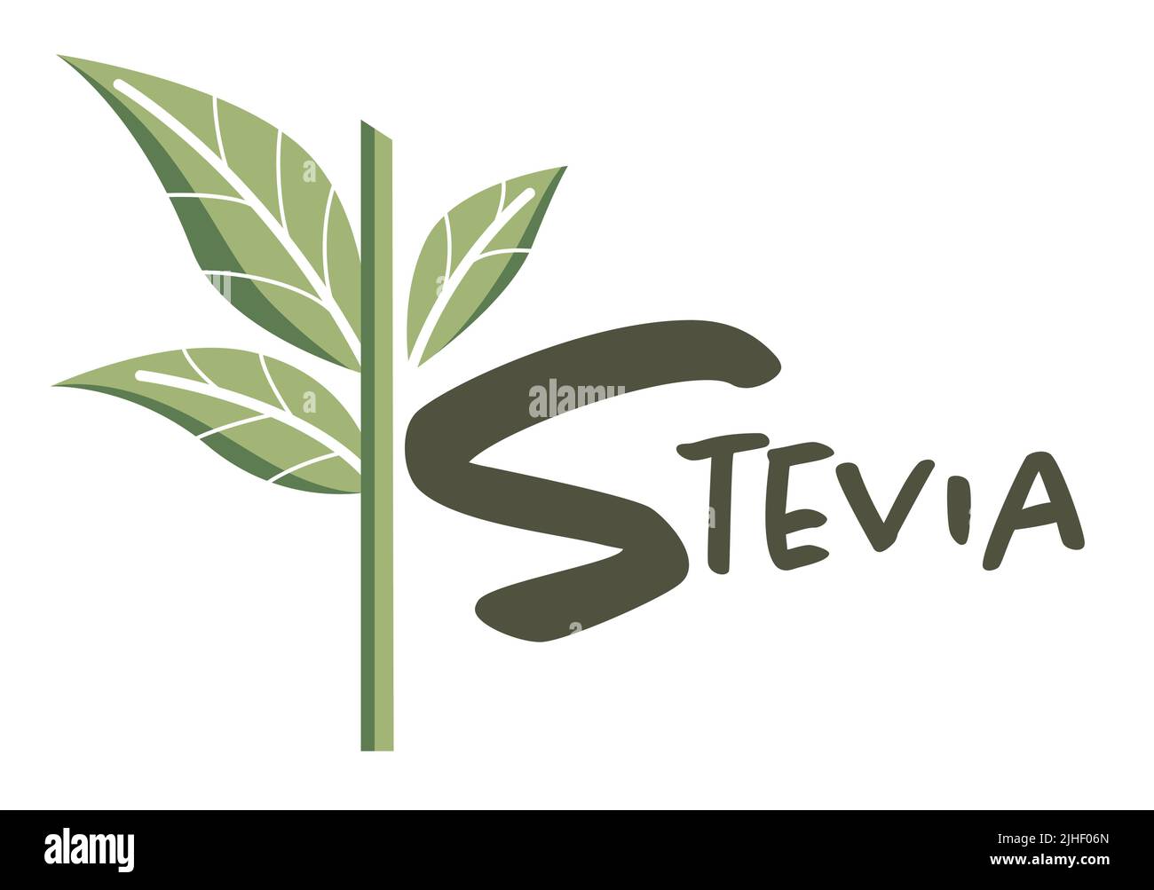 Stevia sweetener vector logo template. Green leaf of sugar Stock Vector ...