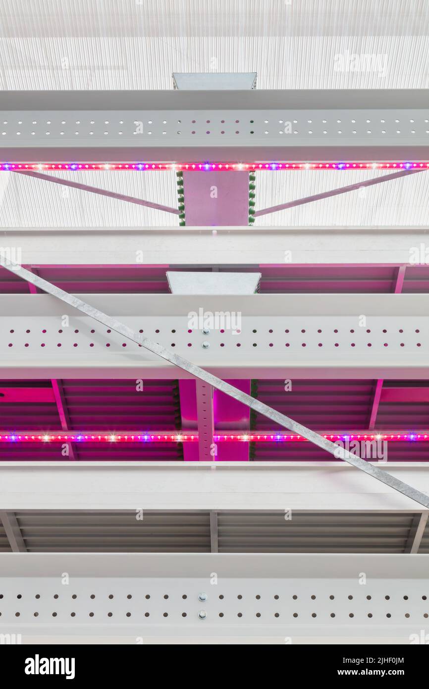 Front view of a new vertical farming system with illuminated led lights ...
