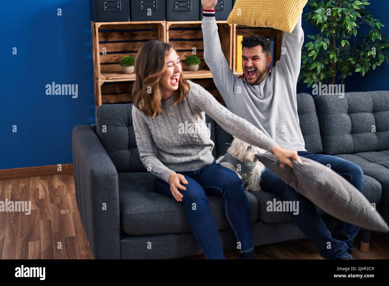 Man and woman fighting with cushion sitting on sofa with dog at home ...
