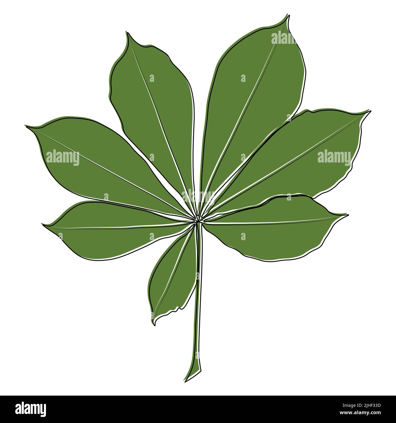 Vector chestnut leaf outline and coloured icon. Simple chestnut leaves ...