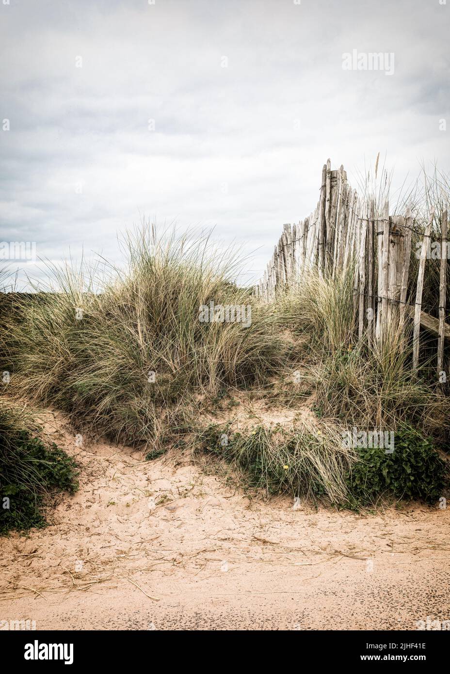 Seafront dawlish warren devon hi-res stock photography and images - Alamy