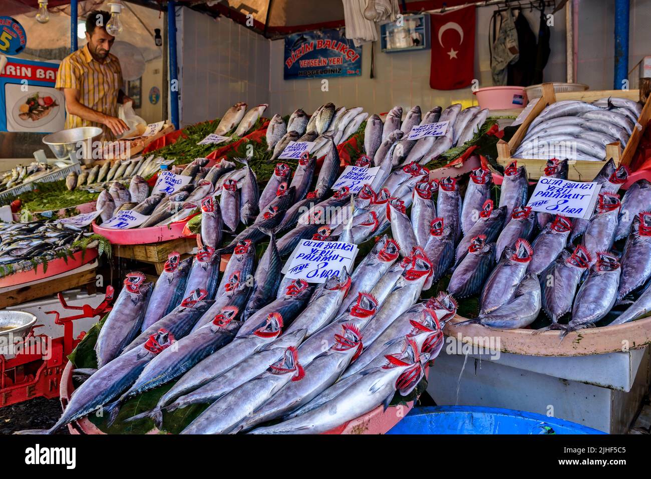 Fresh fish displayed at a market in Karakoy in Istanbul, Turkey Stock ...